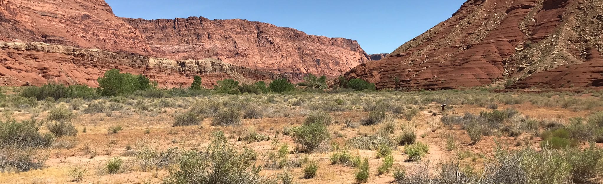 Paria Canyon from Lees Ferry, Arizona - 146 Reviews, Map | AllTrails