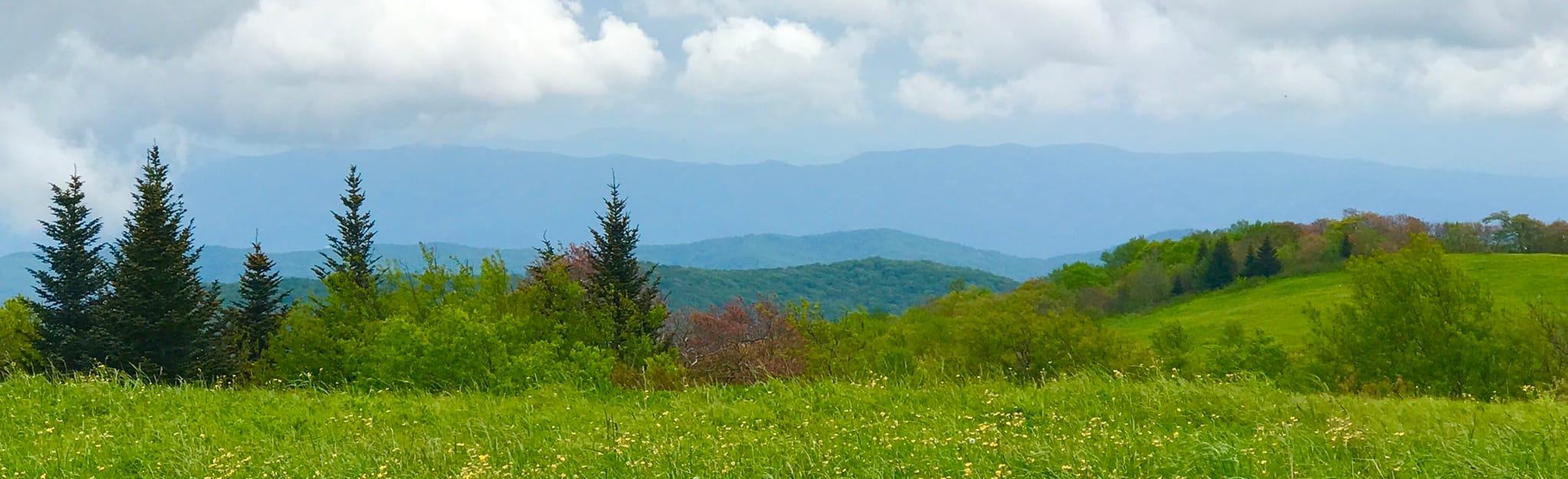 Huckleberry Knob Trail, North Carolina - 542 Reviews, Map | AllTrails