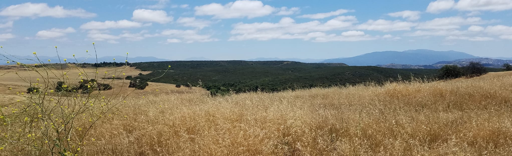 Santa Rosa Plateau Trail to Monument Hill: 202 Reviews, Map ...