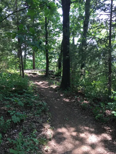 10 Best Trails and Hikes in Fayetteville | AllTrails