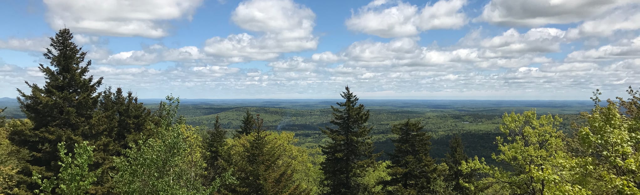 Mount Watatic, Massachusetts - 1,333 Reviews, Map | AllTrails
