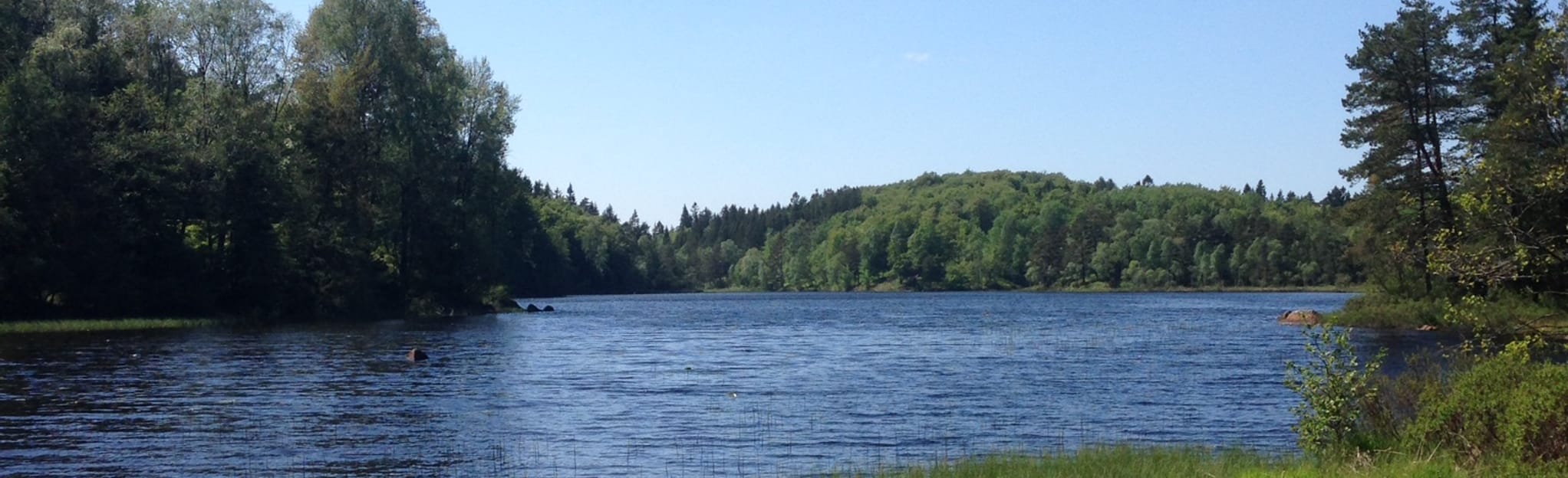 (Gyltige White) Loop, Halland, Sweden - 2 Reviews, Map | AllTrails