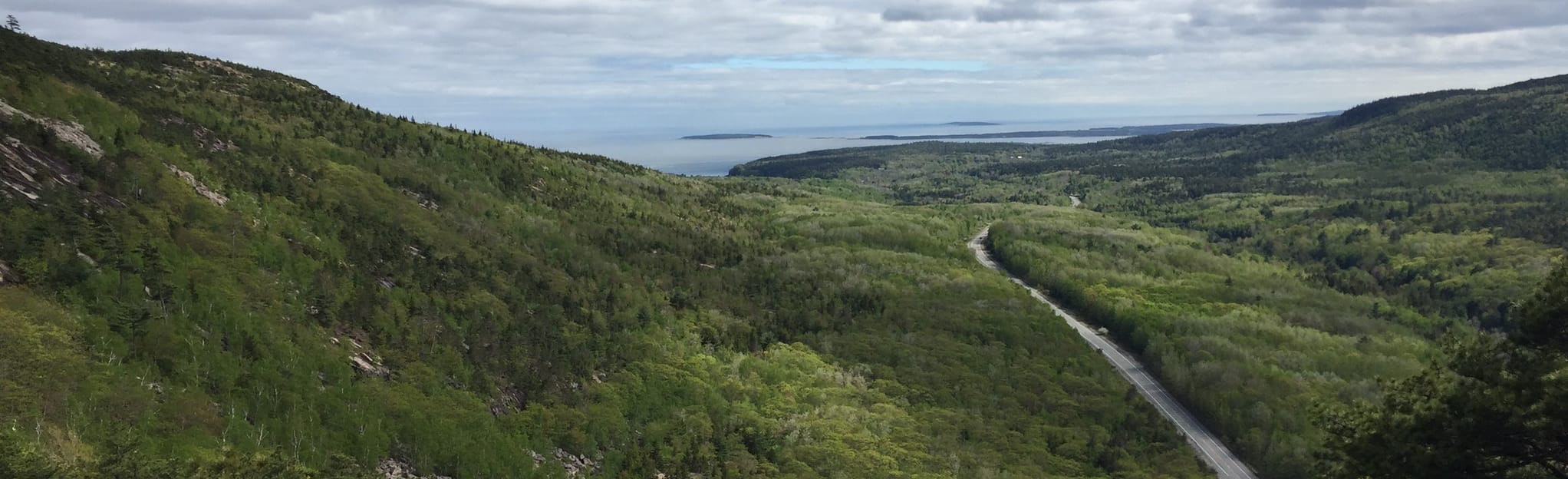 Beachcroft Path Trail: 1.771 foto's - Maine | Wandelen - AllTrails