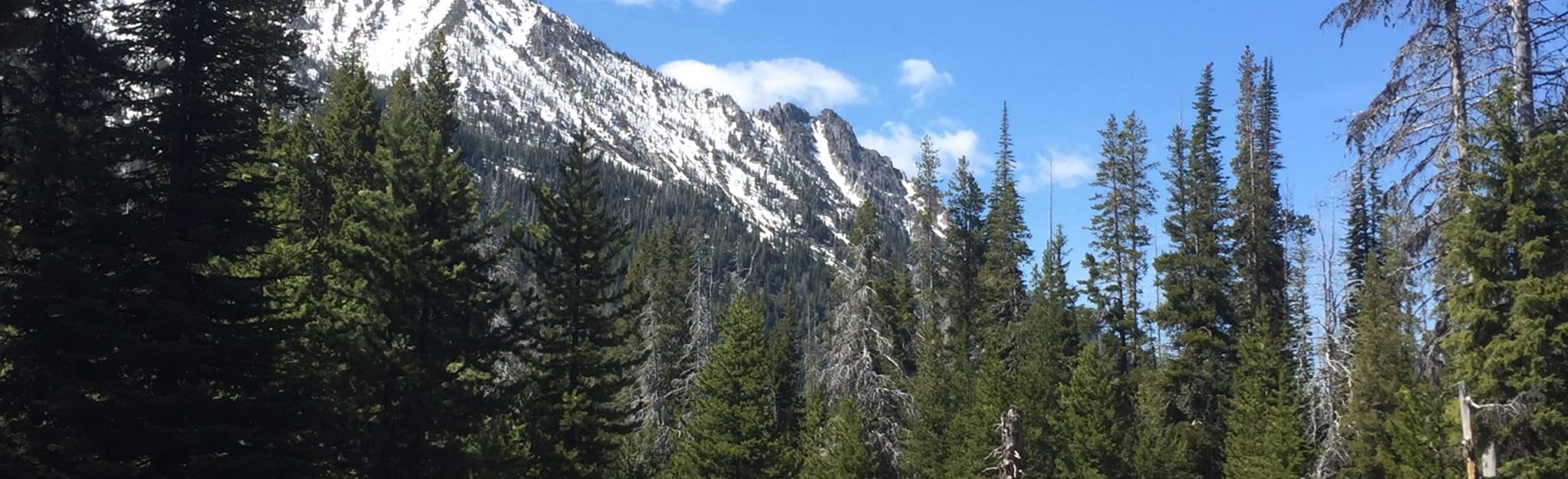 Wallowa River Loop Trail: 144 Reviews, Map - Oregon | AllTrails