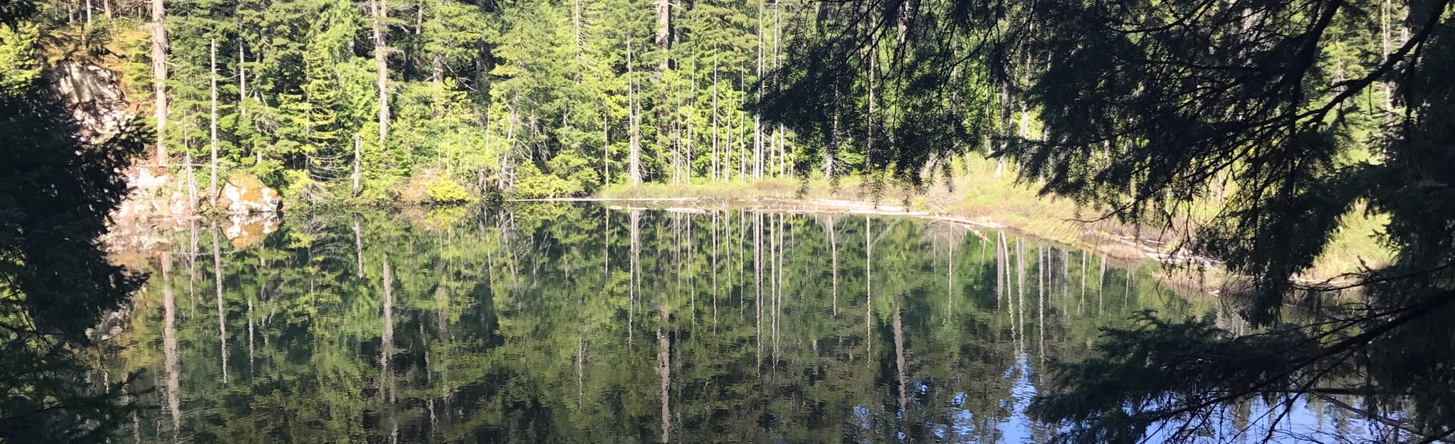 Thompson Trail via Brohm Lake Trail: 15 Reviews, Map - British Columbia ...