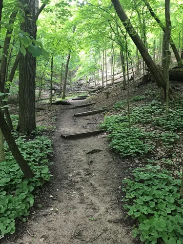 Best Hikes and Trails in Forest Park Nature Preserve | AllTrails