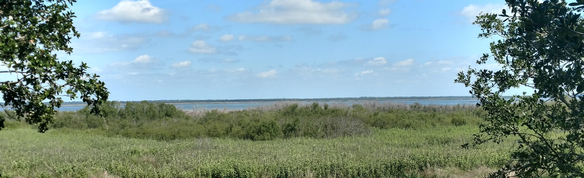 Lake Jesup Observation Platform Trail, Florida - 167 Reviews, Map ...