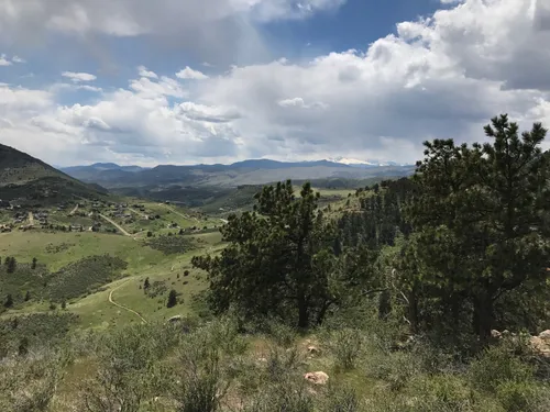 Best Wild Flowers Trails in Horsetooth Mountain Open Space | AllTrails