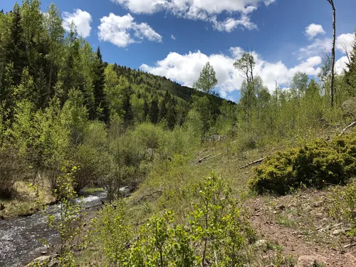 10 Best Walking Trails in Rio Grande National Forest, Divide Ranger ...