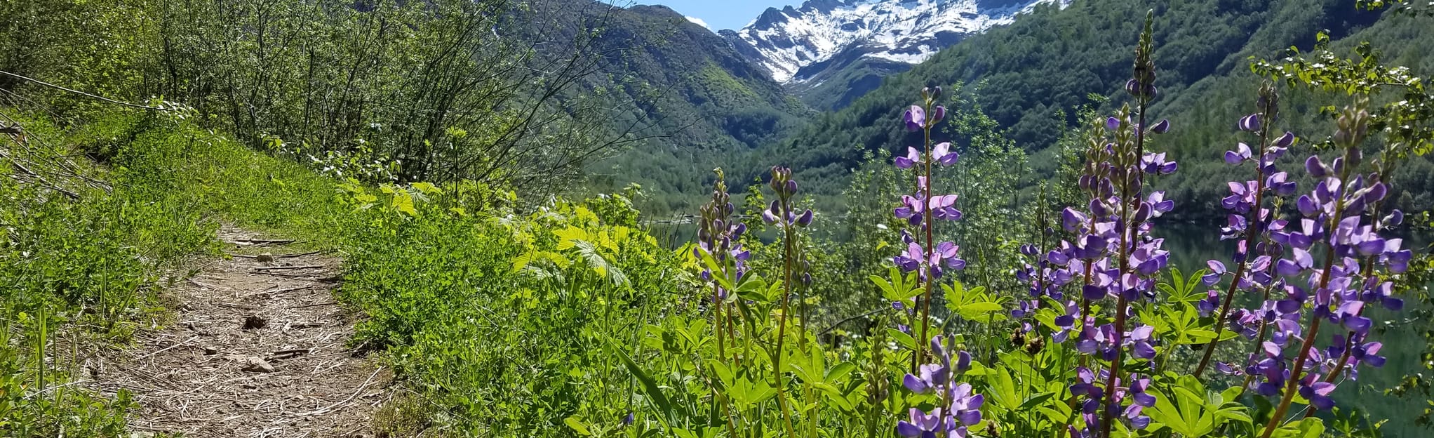 South Coldwater Trail to Lakes Trail Loop, Washington - 403 Reviews ...