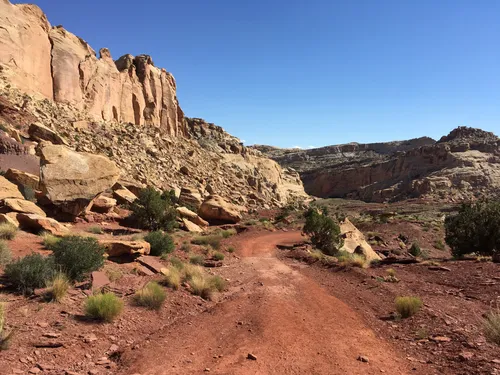 10 Best Backpacking Trails in Utah | AllTrails