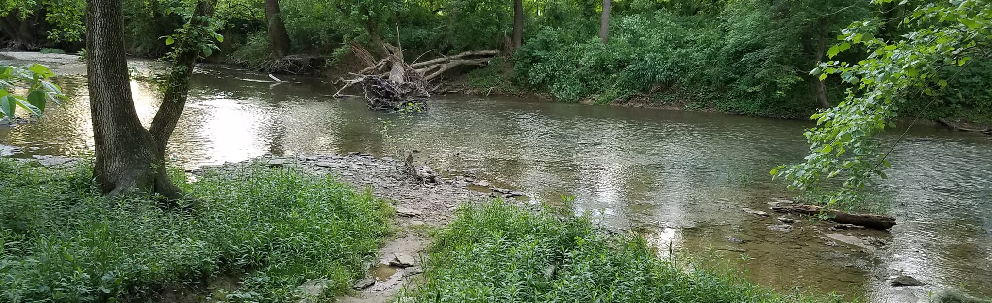 Seaton Valley Trail via Louisville Loop: 168 Reviews, Map - Kentucky ...