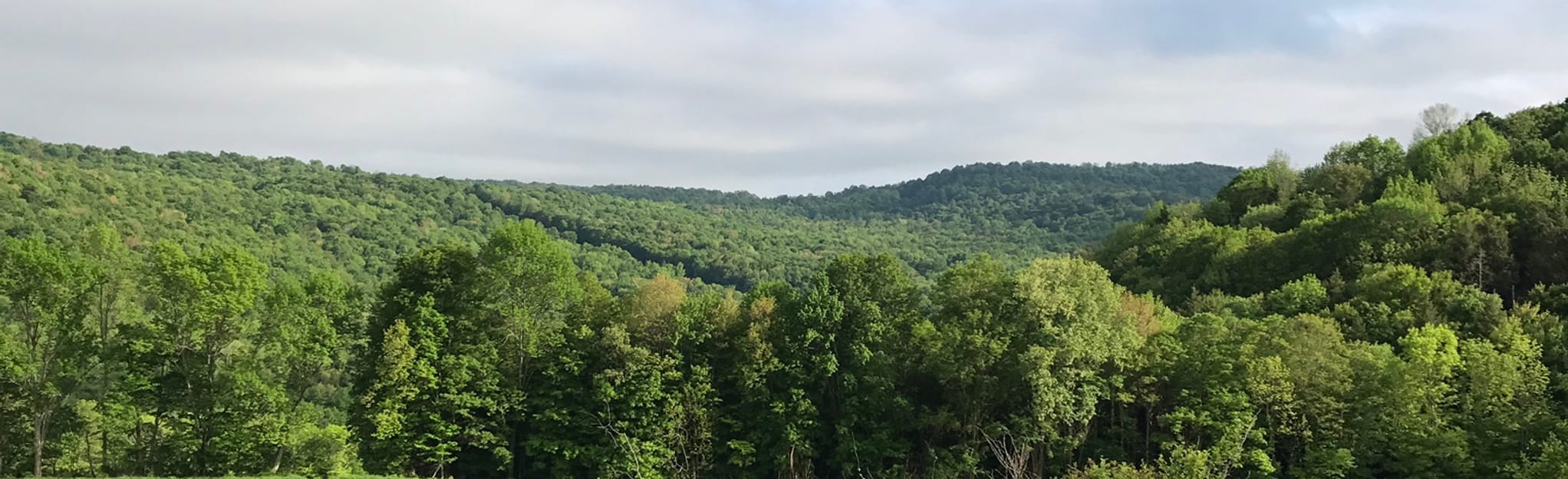 Meadow Trail, Pennsylvania - 14 Reviews, Map | AllTrails