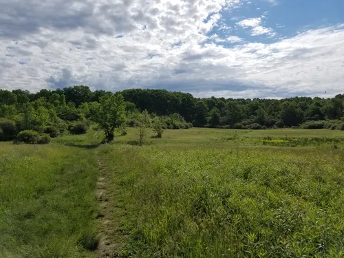 10 Best Walking Trails in Akron | AllTrails