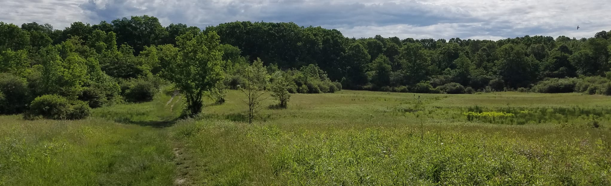 Adam Run Trail, Ohio - 2,136 Reviews, Map | AllTrails