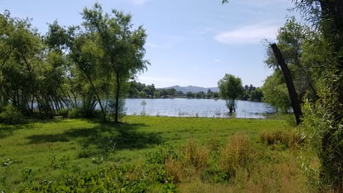 Best Hikes and Trails in Lindo Lake County Park | AllTrails