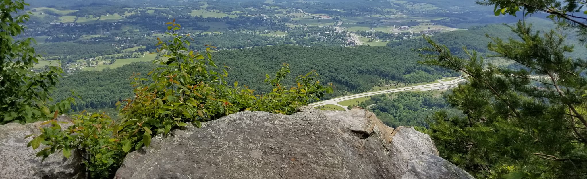 Pinnacle Overlook Trail, Kentucky - 174 Reviews, Map | AllTrails
