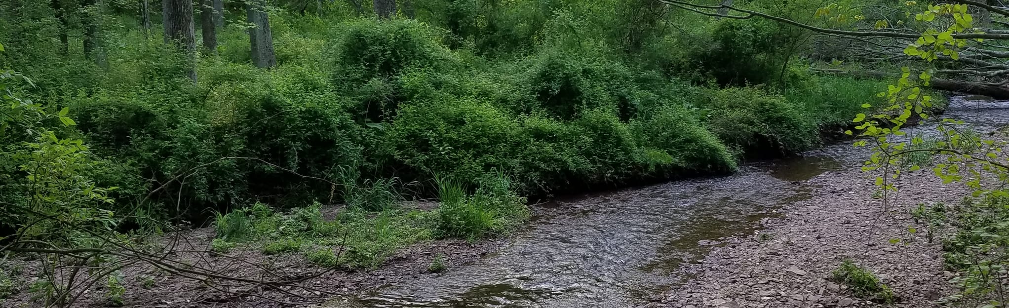 Butler Road Purple, Red, and Yellow Trails, New Jersey - 22 Reviews ...