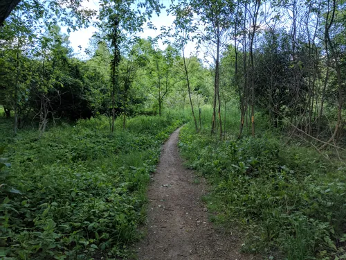 10 Best Trails and Hikes in Kalamazoo | AllTrails