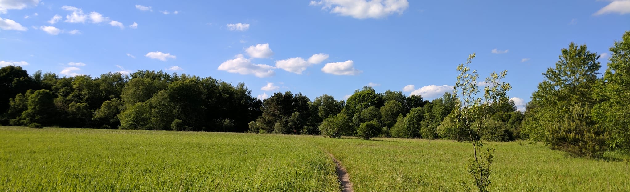 Atwater Loop Trail | Map, Guide - Michigan | AllTrails