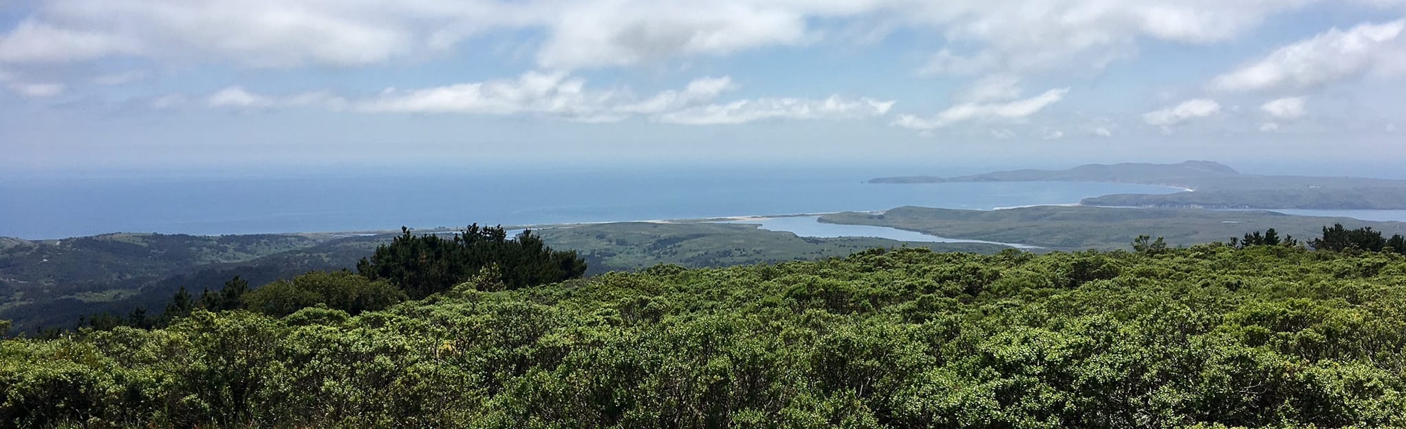 Bucklin Trail, California - 32 Reviews, Map | AllTrails