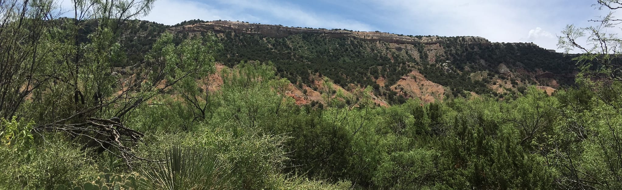 Juniper Cliffside Trail to Sunflower Trail Loop, Texas - 136 Reviews ...