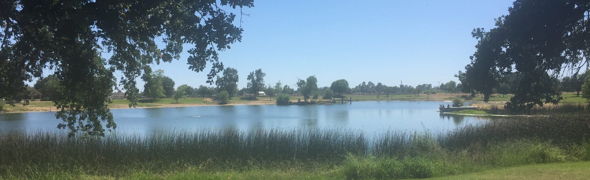 Gibson Ranch Regional Park Loop Trail : 171 fotos - Califórnia | AllTrails