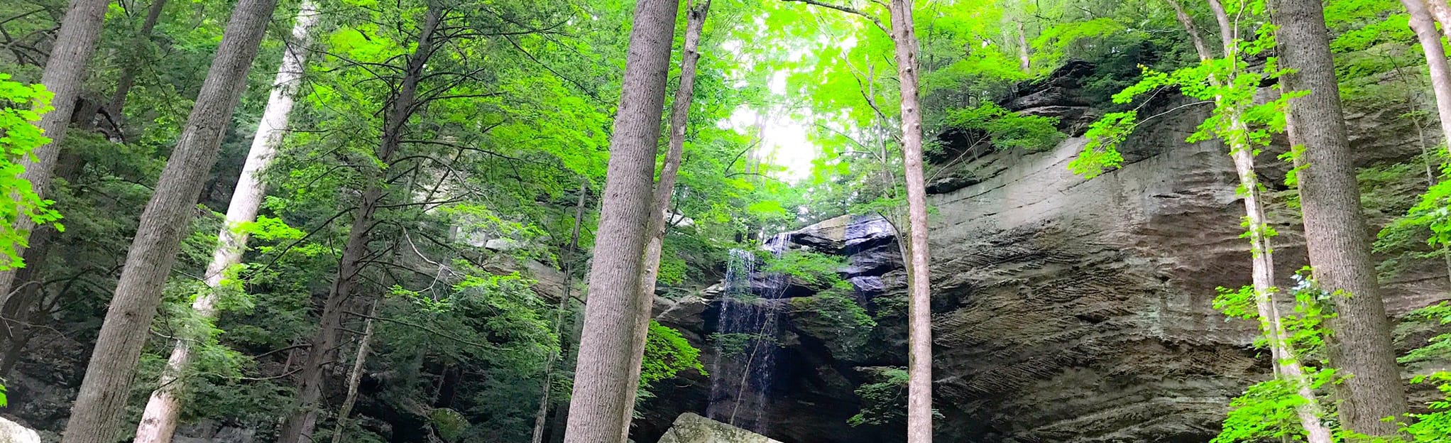 Anglin Falls Trail, Kentucky - 548 Reviews, Map | AllTrails