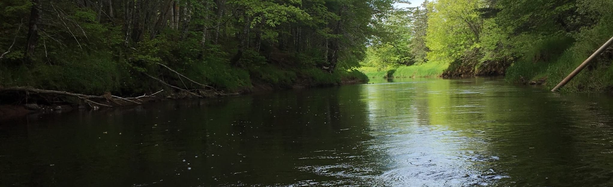 AllTrails | Old Mill Trail: 14 Reviews, Map - Nova Scotia, Canada