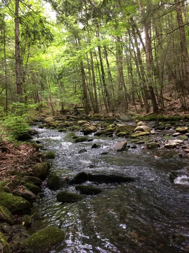 Best Hikes and Trails in Wendell State Forest | AllTrails