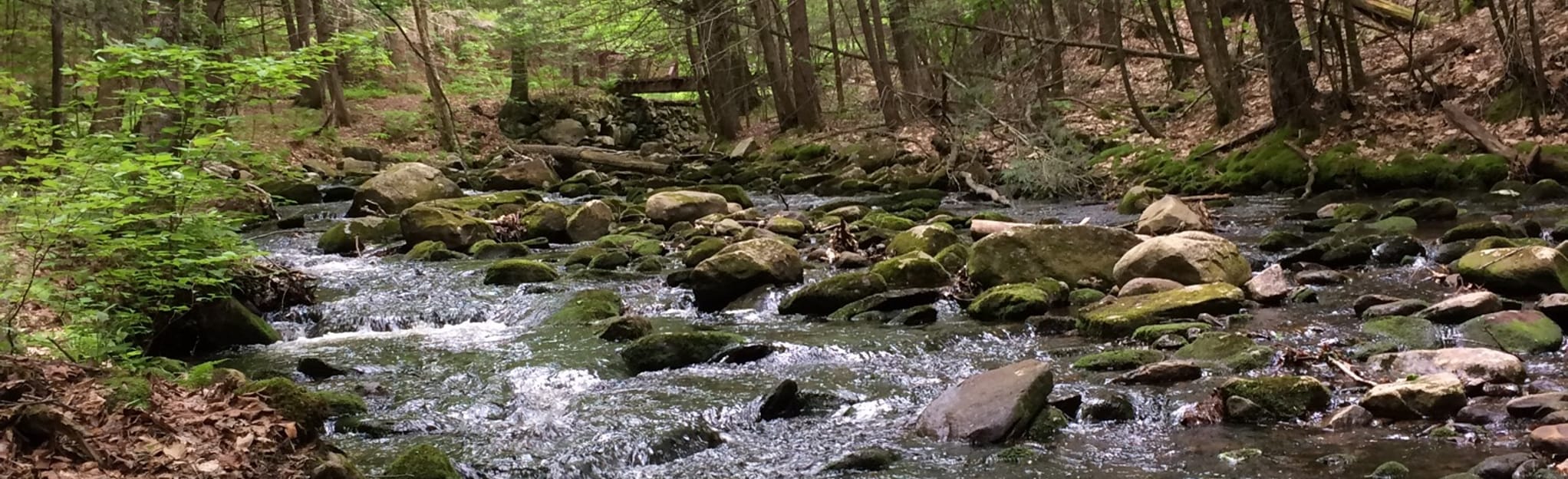 Whales Head Trail, Massachusetts - 37 Reviews, Map | AllTrails