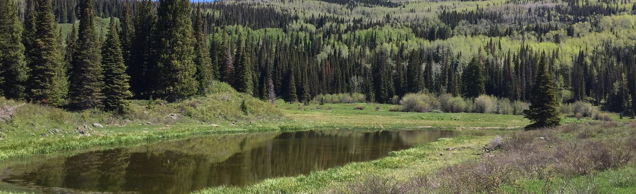 Peltier Lake Trail : 6 Photos - Colorado | Randonnée | AllTrails