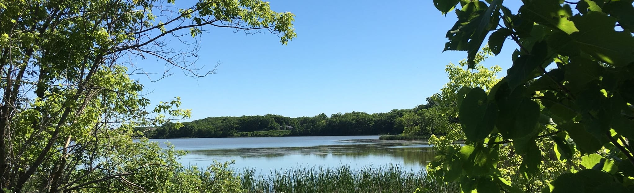 Eastman Nature Trail: 565 Reviews, Map - Minnesota | AllTrails