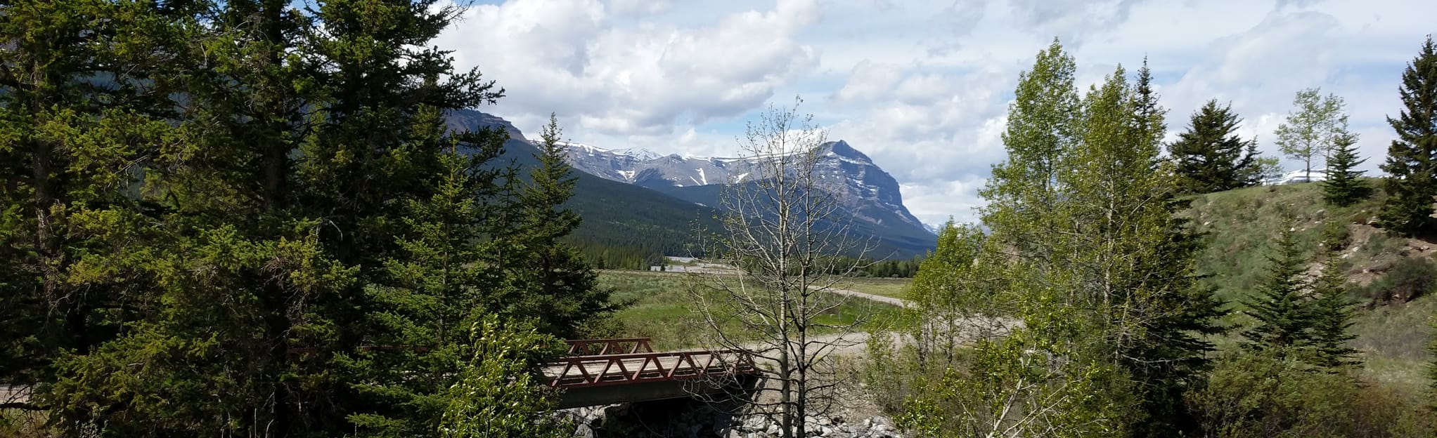 Evangeline and Poplar Loop: 99 fotos - Alberta, Canadá | AllTrails