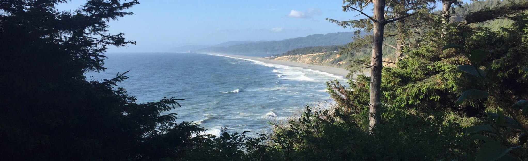 Agate Beach Trail, California - 242 Reviews, Map | AllTrails