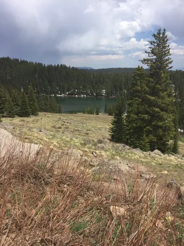 10 Best Snowshoeing Trails in Grand Mesa National Forest | AllTrails