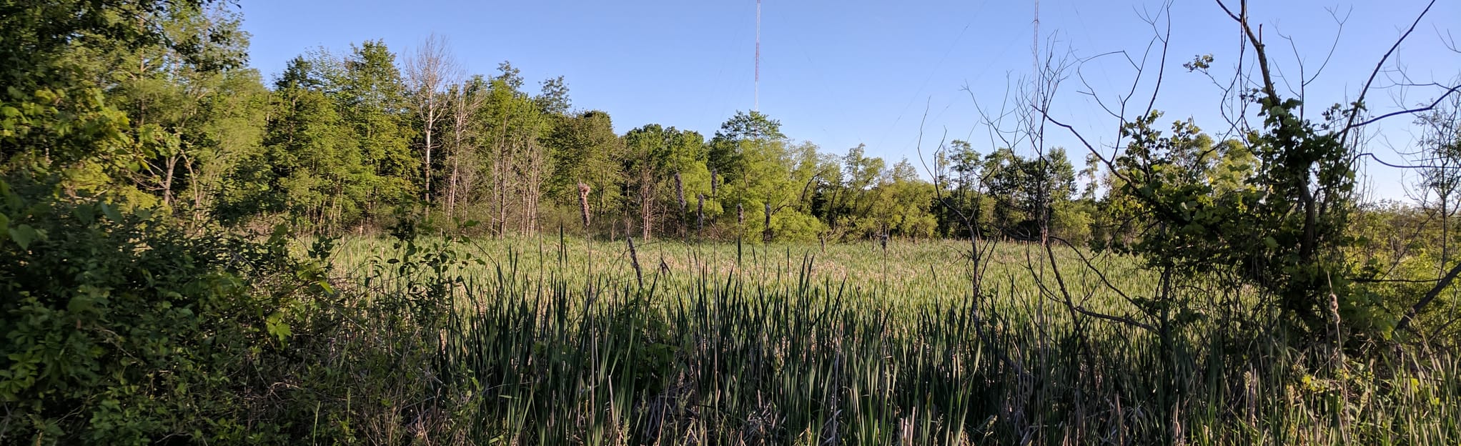 Bishop's Bog Trail: 139 Reviews, Map - Michigan | AllTrails