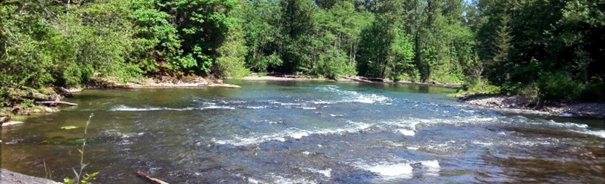 Kanaskat-Palmer Loop: 314 Reviews, Map - Washington | AllTrails