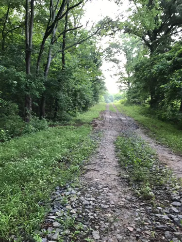 Best Hikes and Trails in Amelia Wildlife Management Area | AllTrails