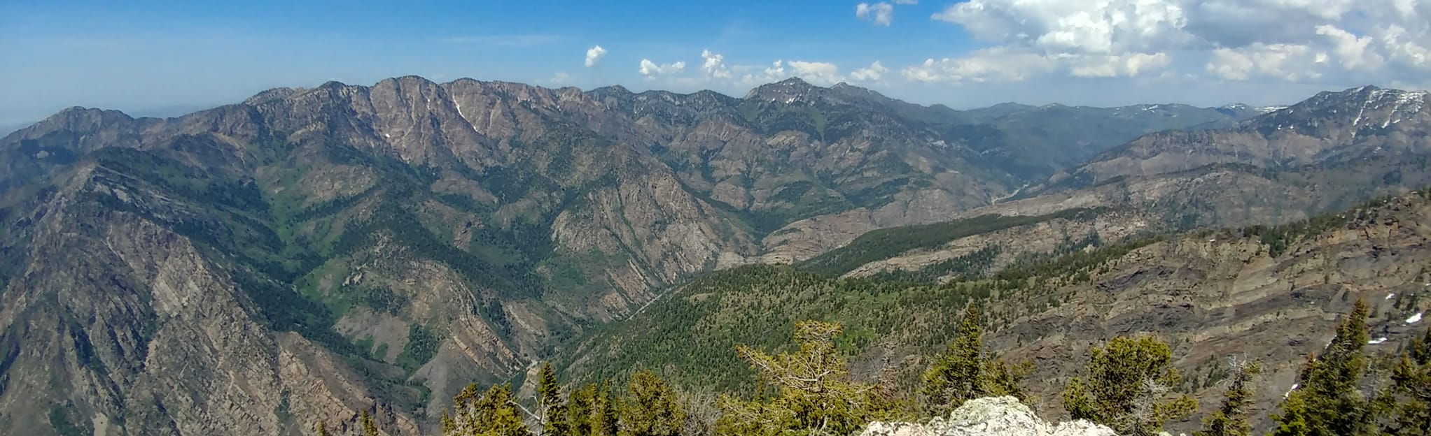 Storm Mountain via Ferguson Canyon : 1 678 photos - Utah | AllTrails