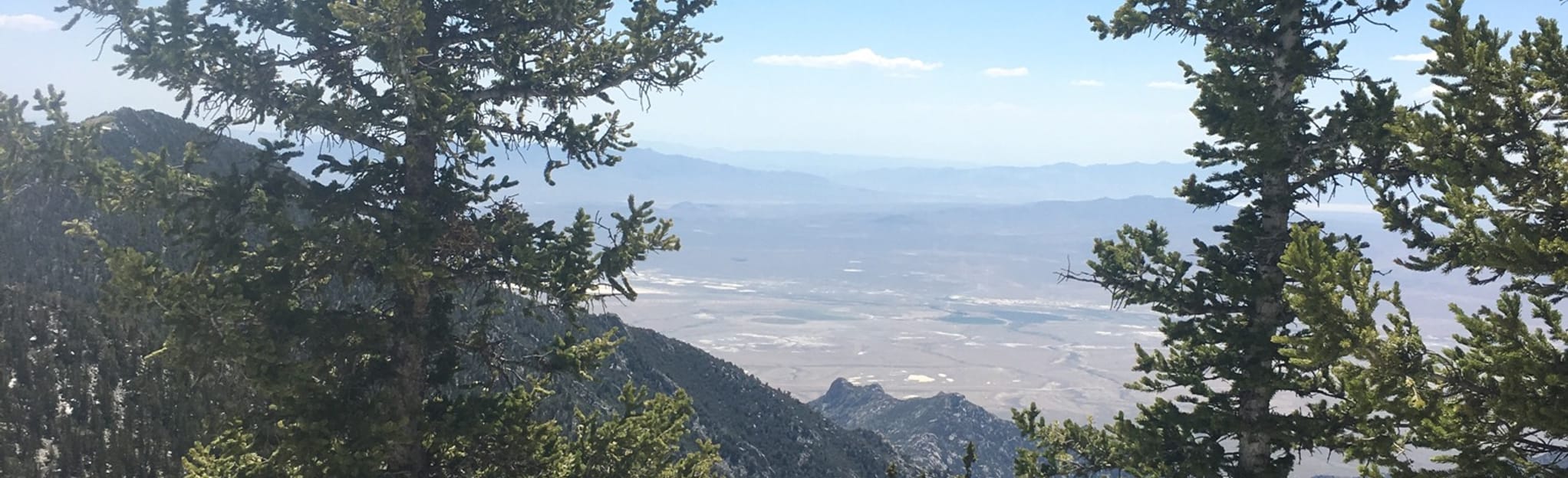 Ibapah Peak: 66 Reviews, Map - Utah | AllTrails