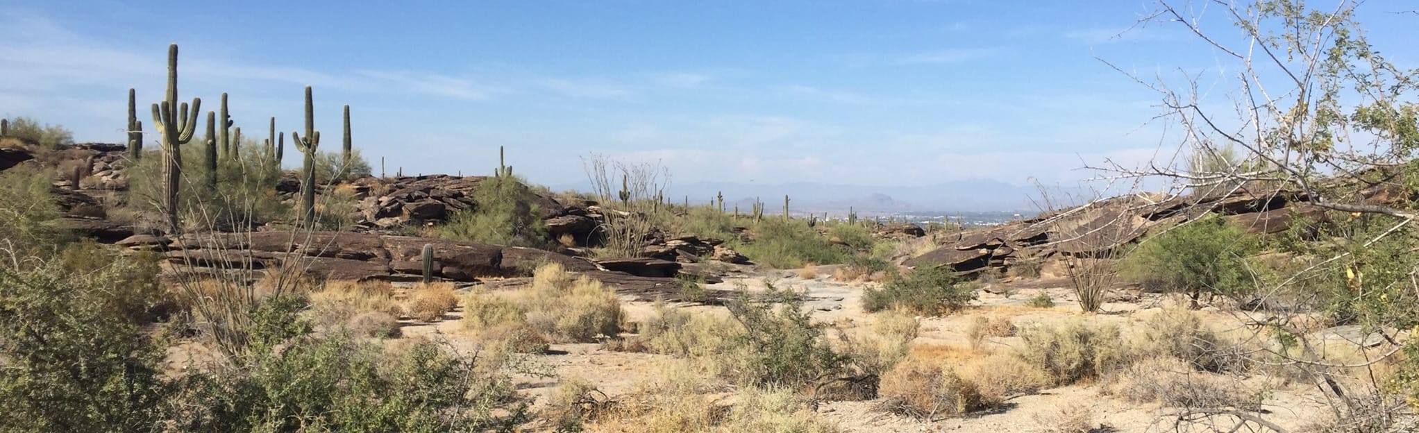 Fat Man's Pass via Mormon Trail, Arizona - 8,126 Reviews, Map | AllTrails