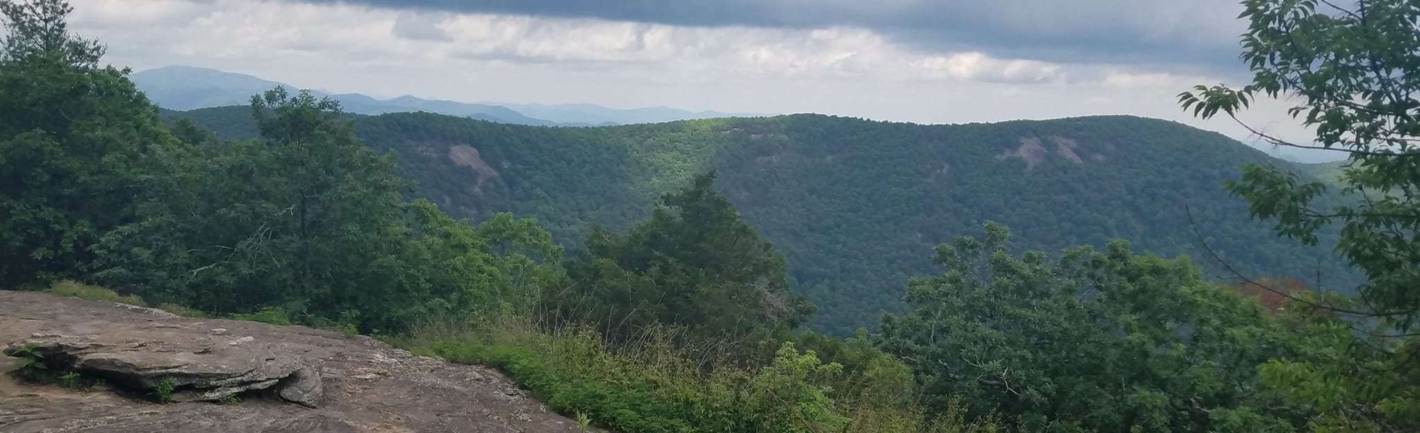 Appalachian Trail: Neels Gap to Hogpen Gap, Georgia - 616 Reviews, Map ...