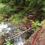 Cowlitz Divide Trail, Washington - 24 Reviews, Map | AllTrails