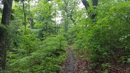 Best Horseback Riding Trails in Mammoth Cave National Park | AllTrails