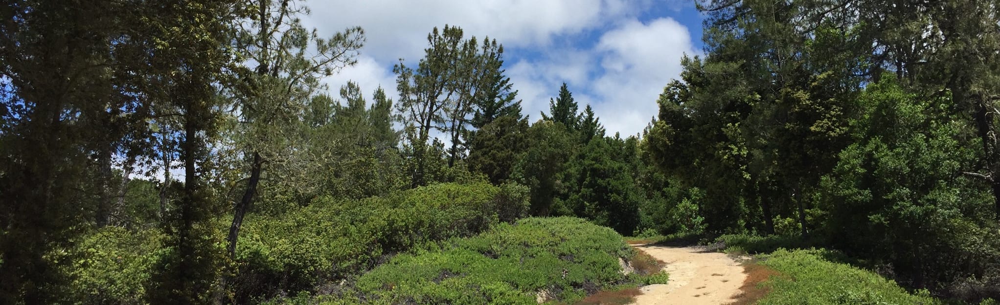 Michael's Summit Loop, California - 118 Reviews, Map | AllTrails