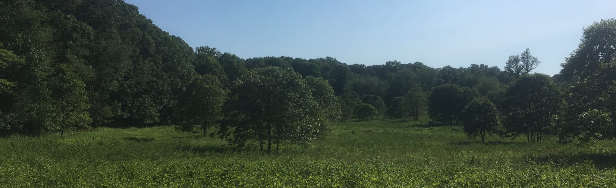 Rachel Carson Extended Loop, Maryland - 259 Reviews, Map | AllTrails