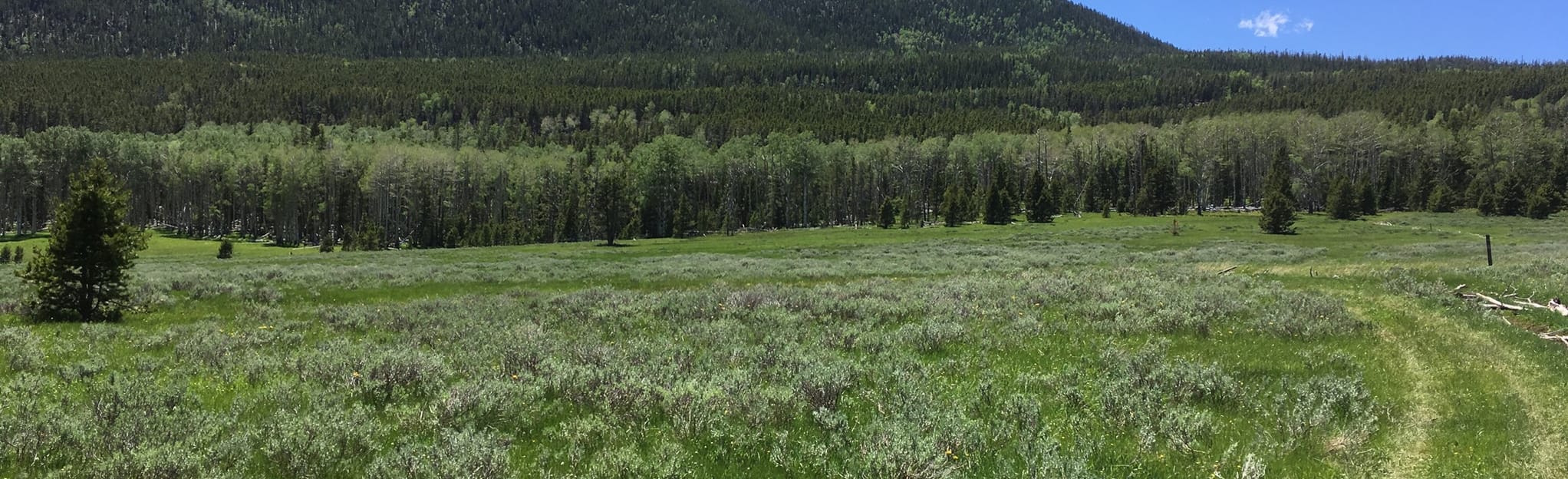 Highline Trail to East Park Reservoir - Utah | AllTrails