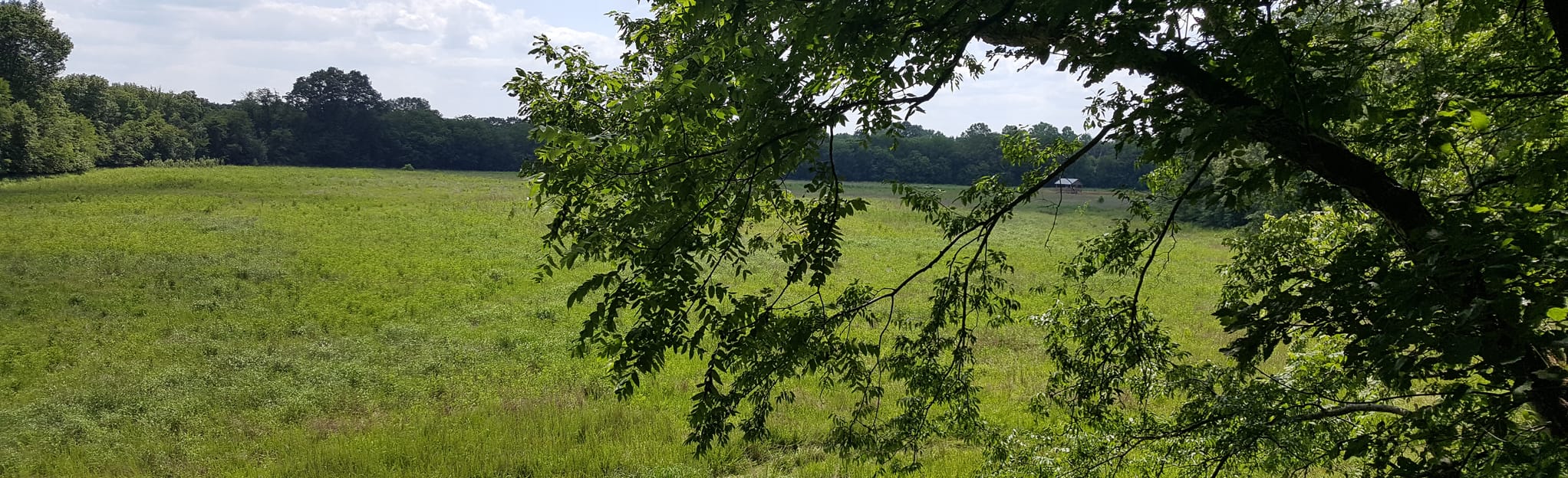 River Trail to Hickory Ridge Loop, Tennessee - 335 Reviews, Map | AllTrails