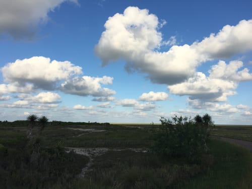 Best Hikes and Trails in Laguna Atascosa National Wildlife Refuge ...